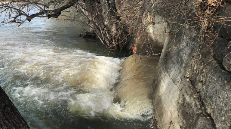 Cottonwood Creek Daylighting Project – Boise River Enhancement Network